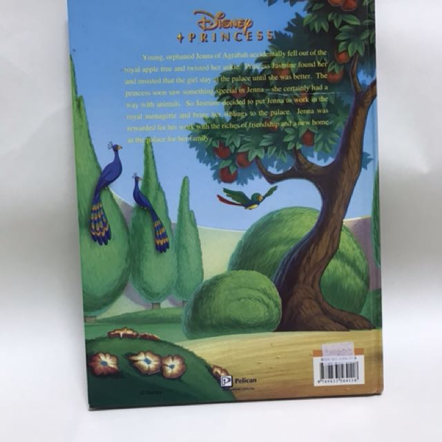 Disney Princess A Rich Friendship, Hobbies & Toys, Books & Magazines ...