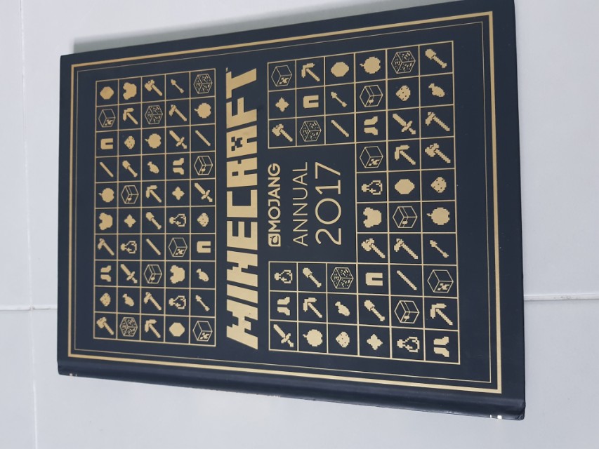 Minecraft book, Hobbies & Toys, Books & Magazines, Children's Books on ...