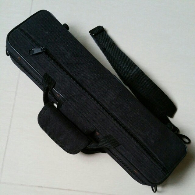 Parrot Concert Flute, Hobbies & Toys, Music & Media, Musical ...