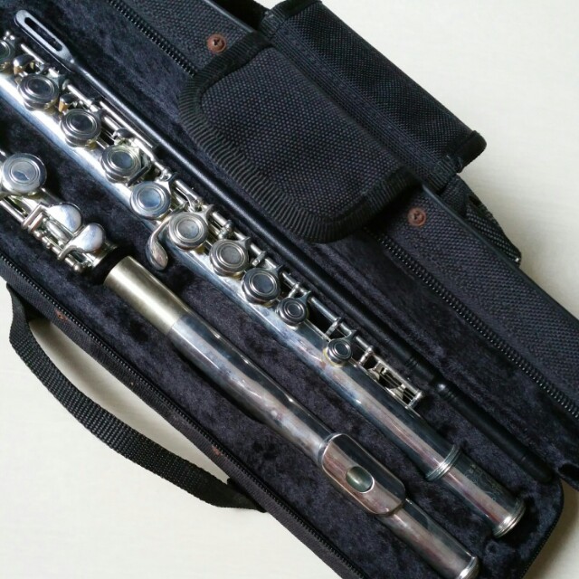 Parrot Concert Flute, Hobbies & Toys, Music & Media, Musical ...