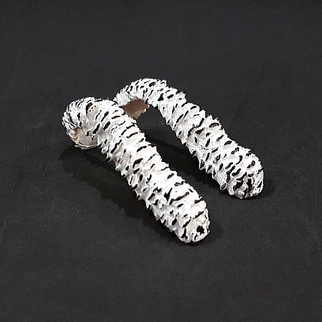 (RESERVED) WWE Mattel nWo Hollywood Hogan Mini Boa, Hobbies & Toys ...