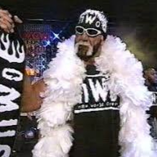 (RESERVED) WWE Mattel nWo Hollywood Hogan Mini Boa, Hobbies & Toys ...