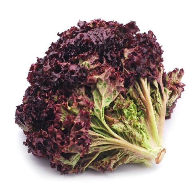 Lattuga Riccia Lolla Rossa by Franchi Sementi, Furniture & Home Living ...