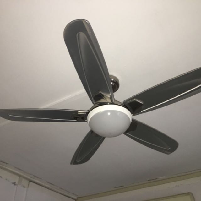 Ceiling Fan cash and carry, Furniture & Home Living, Lighting & Fans ...
