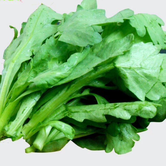 Tang-O Vegetable Seeds, Furniture & Home Living, Gardening, Plants ...