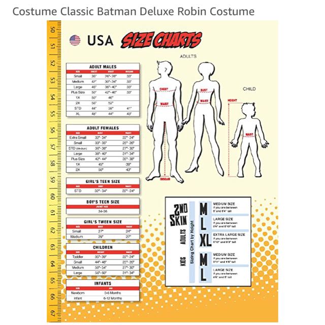 Batman and Robin costume Halloween costume dc comics, Men's Fashion ...