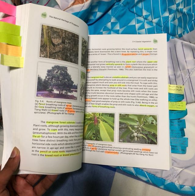 GES1201 Natural Heritage textbook + notes, Hobbies & Toys, Books ...
