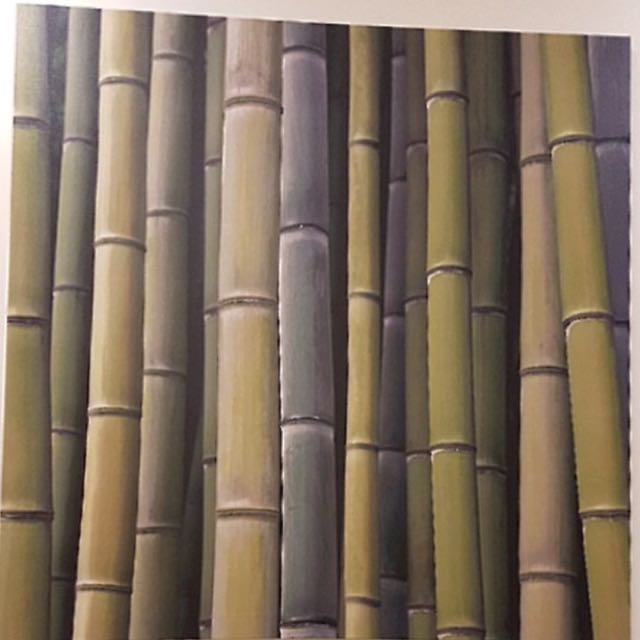 Bamboo paint, Furniture & Home Living, Home Decor, Vases & Decorative ...