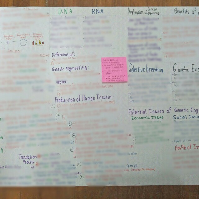 O Level Biology Wall Chart : Molecular genetics, Hobbies & Toys, Books ...