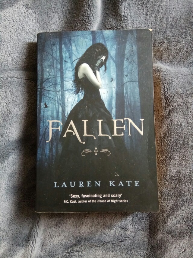 Fallen by Lauren Kate, Hobbies & Toys, Books & Magazines, Storybooks on ...