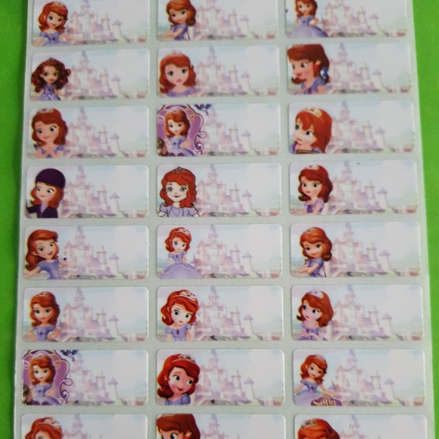 Princess Sofia waterproof name sticker, Hobbies & Toys, Stationery ...