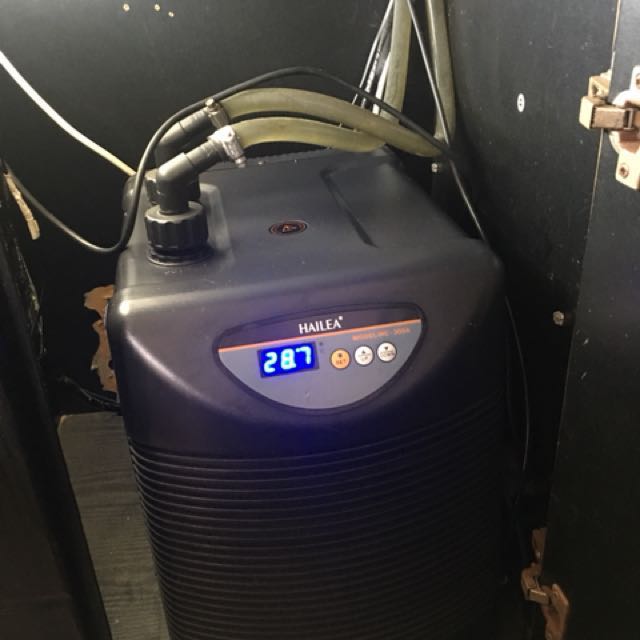 Hailea HC300a chiller use for my 422 tank, Pet Supplies, Homes & Other ...
