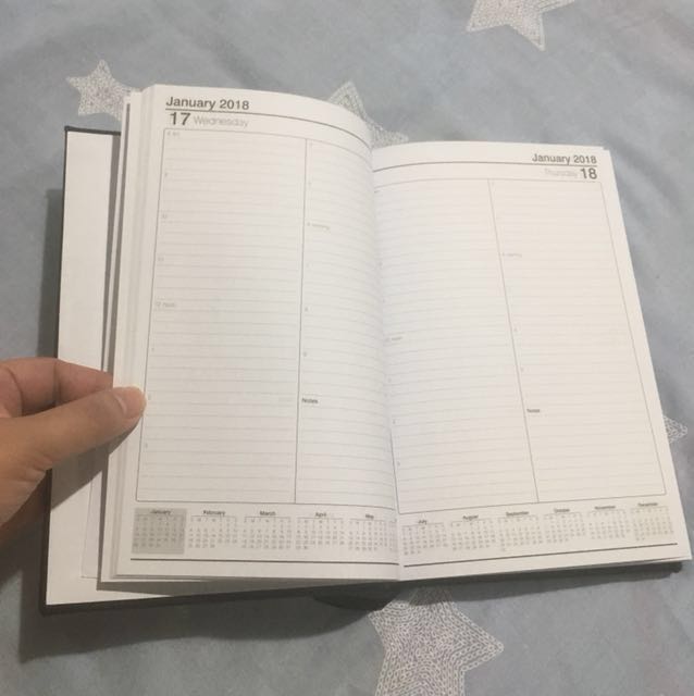 Stradmore Executive Diary Planner, Hobbies & Toys, Books & Magazines ...