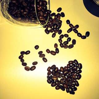 Luwak - View all Luwak ads in Carousell Philippines