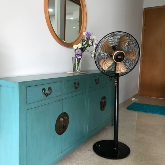 EuropAce Italian Slim Design Stand Fan, TV & Home Appliances, Kitchen ...