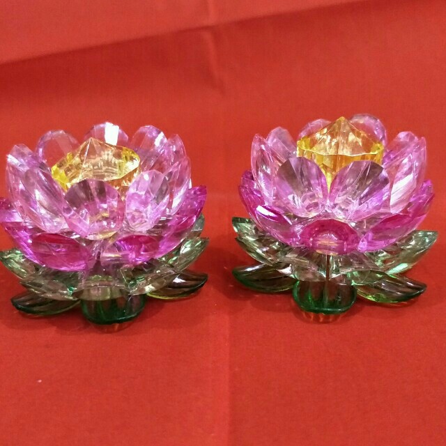 Lotus display, Furniture & Home Living, Home Decor, Other Home Decor on ...