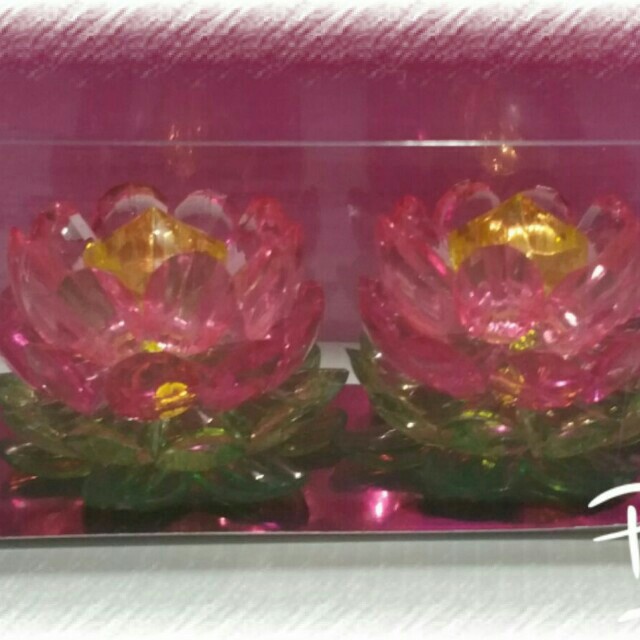 Lotus display, Furniture & Home Living, Home Decor, Other Home Decor on ...