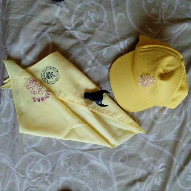 Kab Scout Uniform, Babies & Kids, Babies & Kids Fashion on Carousell