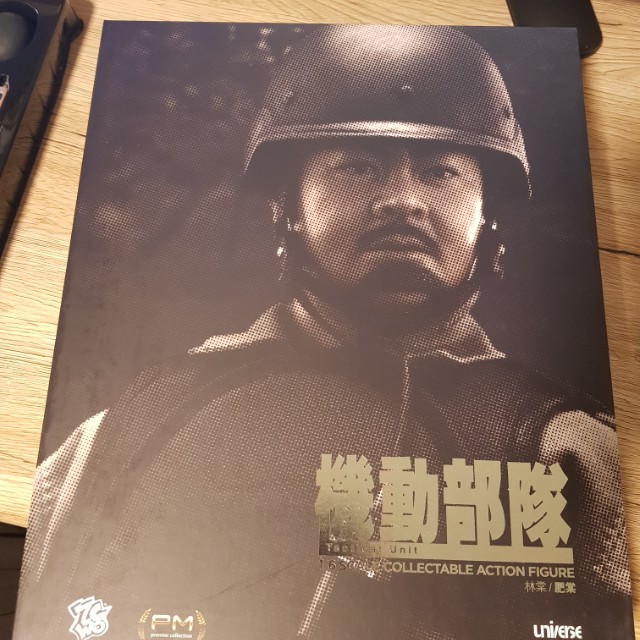 1/6 Hong Kong Police HKP PTU Police Tactical Unit - Tong (林堂 肥堂 林雪 ...