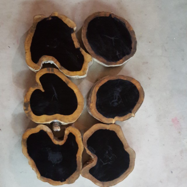 天然黑金木 NATURAL PENAWAR HITAM, Everything Else on Carousell