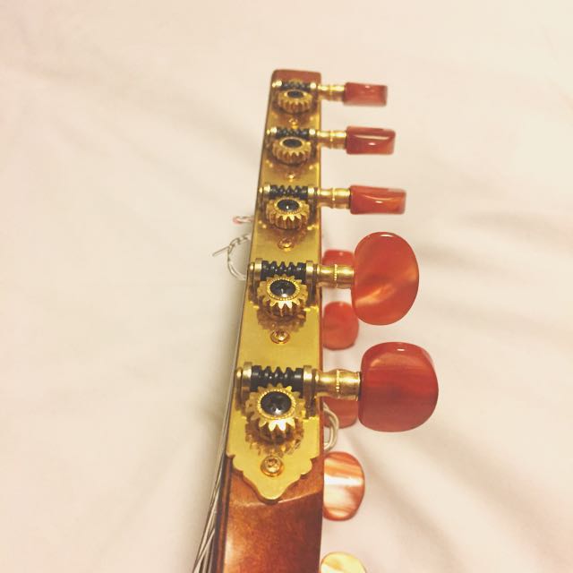 Ten String Classical Guitar 10 String Leonardo Apa / Altamira’s Hanson ...