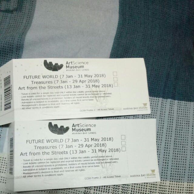 Art science museum marina bay sands, Tickets & Vouchers, Local Attractions & Transport on Carousell