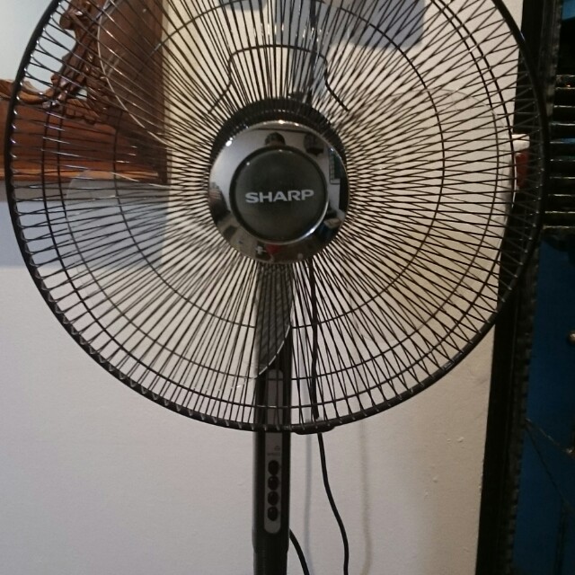 SHARP Standing Fan, TV & Home Appliances, Air Conditioners & Heating on ...