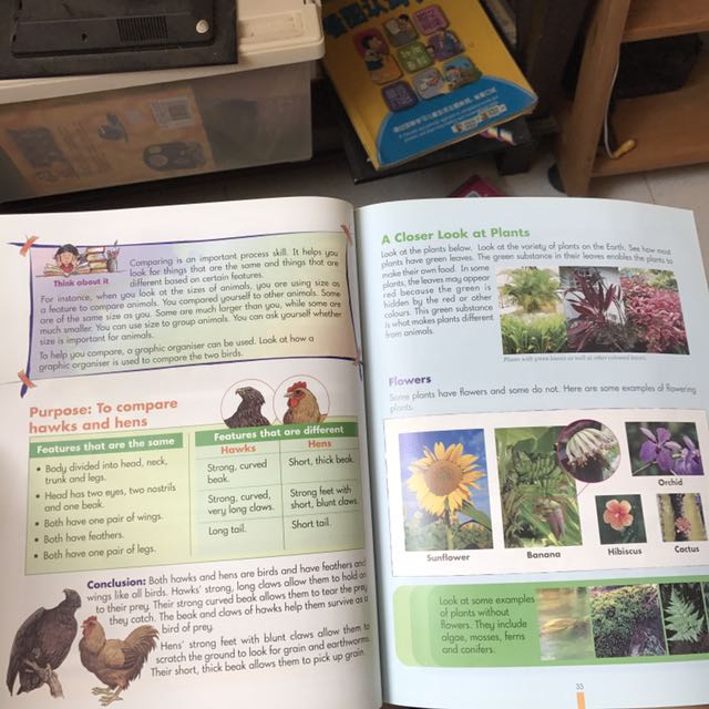 Student's Companion Science for Primary 3, Hobbies & Toys, Books ...