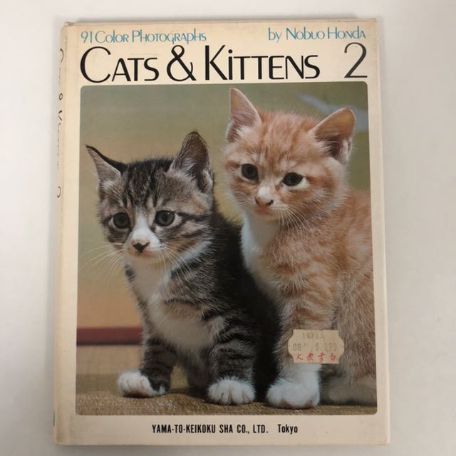 1976 Cats & Kittens 2 Book - Nobuo Honda, Hobbies & Toys, Books ...