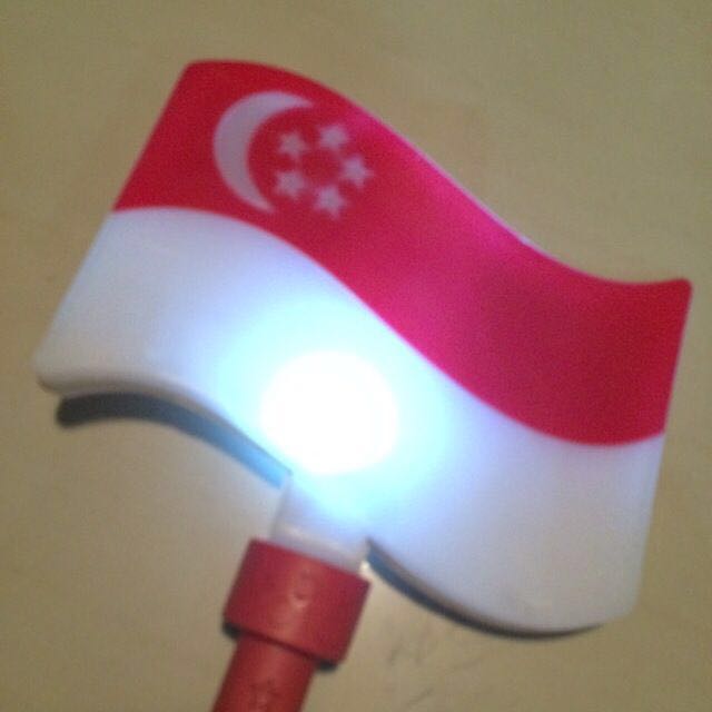 NDP Flag Clapper With Light, Hobbies & Toys, Stationery & Craft, Art ...