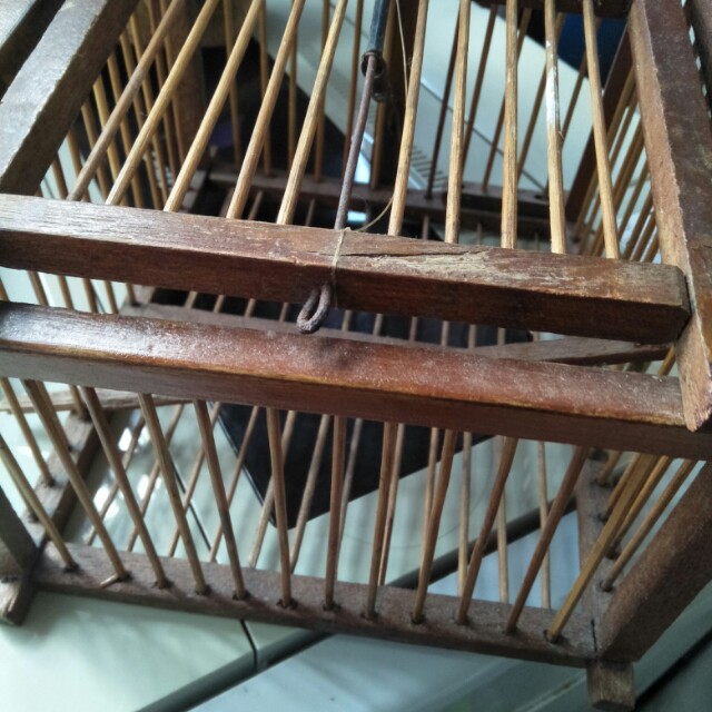 Jebak, Pet Supplies, Homes & Other Pet Accessories on Carousell