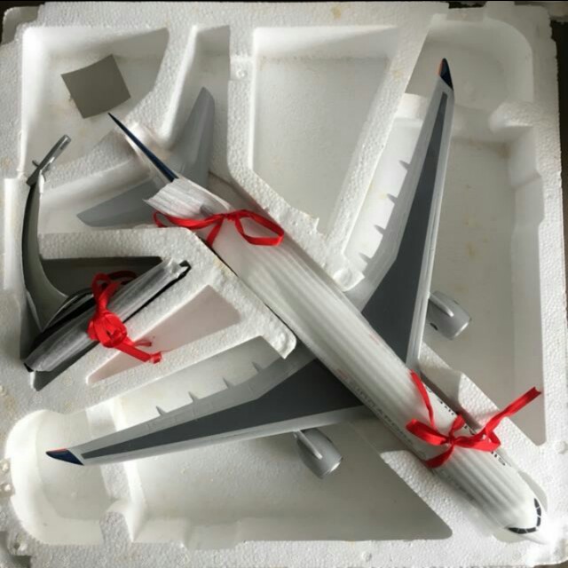 Sia A350 model plane, Hobbies & Toys, Stationery & Craft, Craft ...