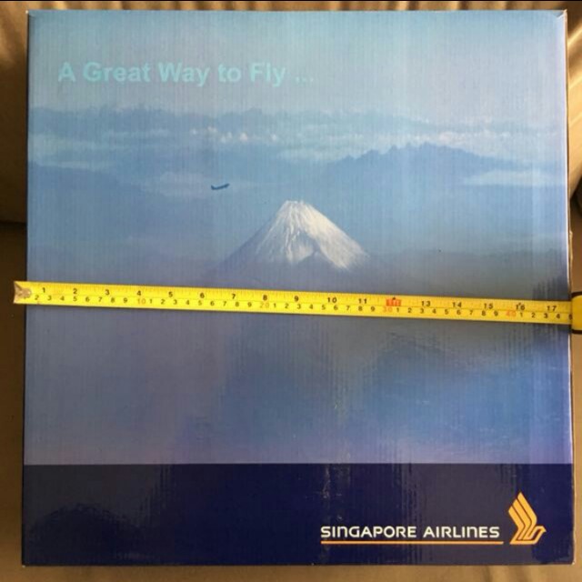 Sia A350 model plane, Hobbies & Toys, Stationery & Craft, Craft ...