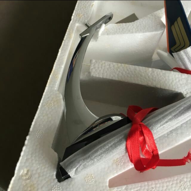 Sia A350 model plane, Hobbies & Toys, Stationery & Craft, Craft ...