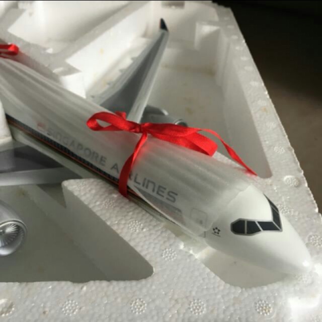 Sia A350 model plane, Hobbies & Toys, Stationery & Craft, Craft ...
