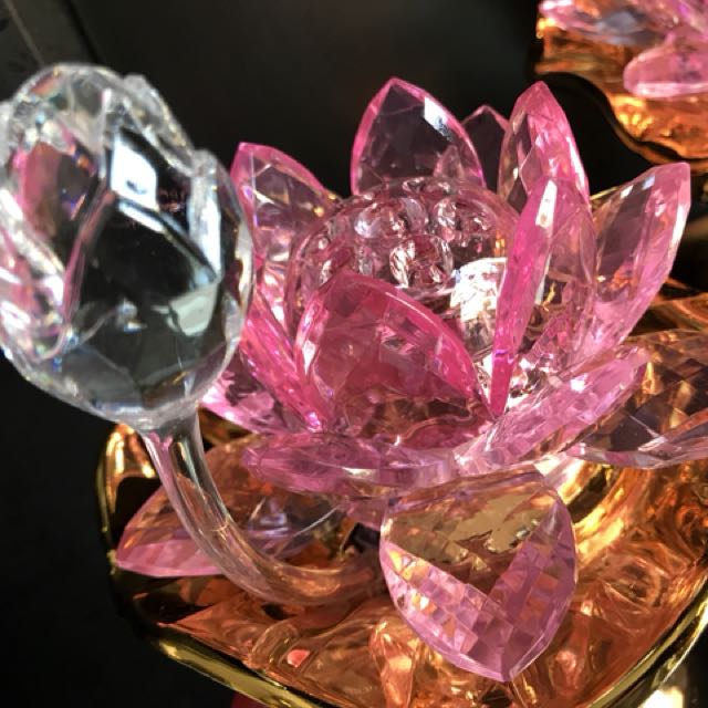 LED Lotus Light, Furniture & Home Living, Lighting & Fans, Lighting on ...