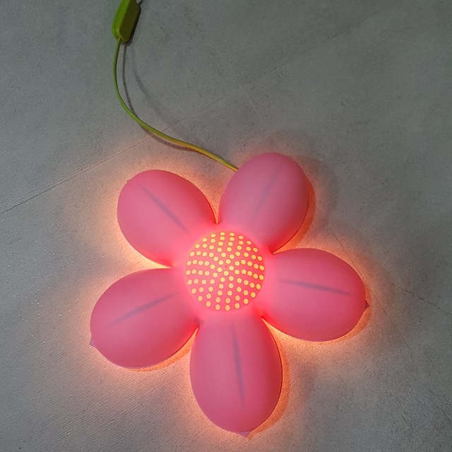 Wall flower light, Furniture & Home Living, Home Decor, Wall Decor on ...