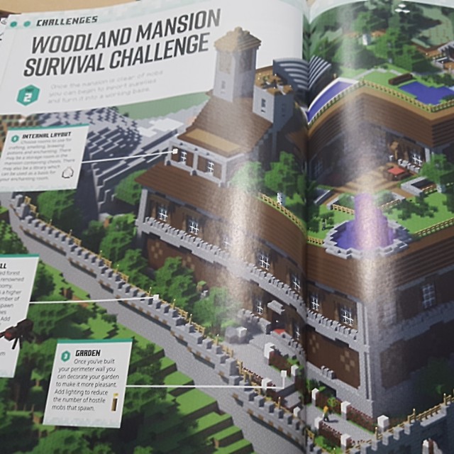 Minecraft Annual 2018, Hobbies & Toys, Books & Magazines, Children's ...