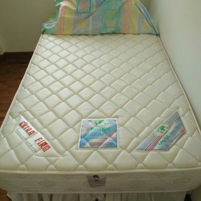 King Koil Single Bed & bed frame, Furniture & Home Living, Furniture ...