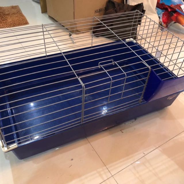 Guinea Pig / rabbit Cage, Pet Supplies, Homes & Other Pet Accessories ...