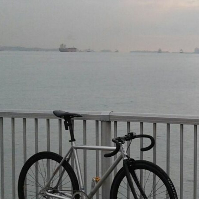 Fixie, Bulletin Board on Carousell