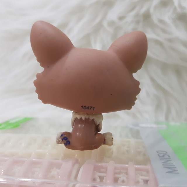 lps corgi dog, Hobbies & Toys, Toys & Games on Carousell