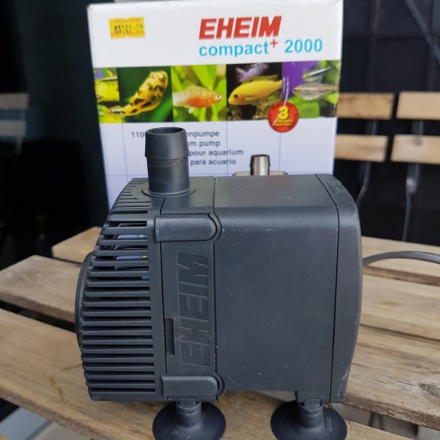 EHEIM compact+ 2000, Pet Supplies, Homes & Other Pet Accessories on ...