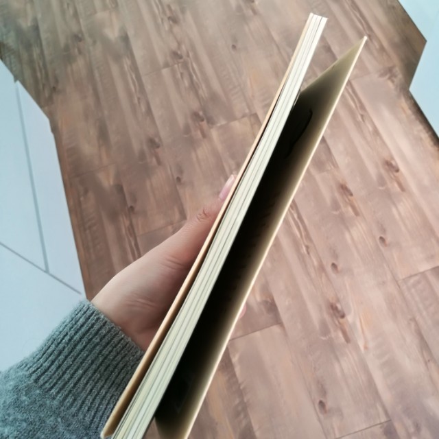 SINGLIT Nine cuts audrey chin, Hobbies & Toys, Books & Magazines ...