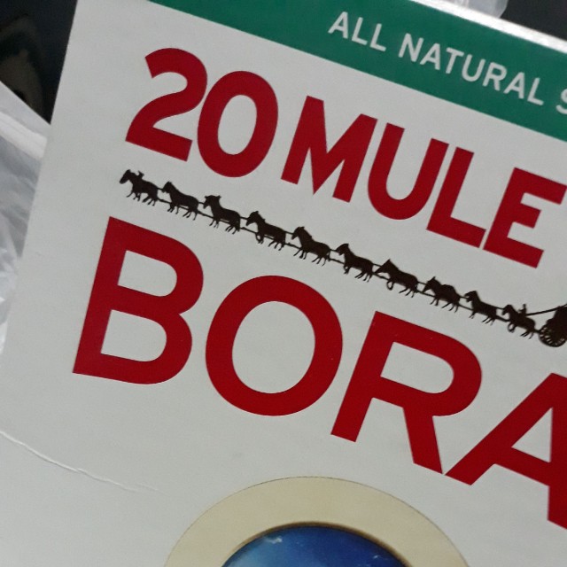 borax (whole box), Hobbies & Toys, Toys & Games on Carousell
