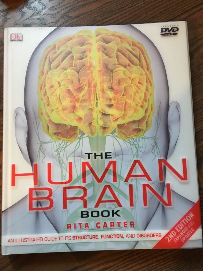 Human brain, Hobbies & Toys, Books & Magazines, Children's Books on ...