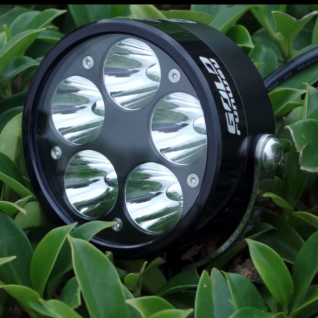 Gold Runway GR-50X Foglight, Motorcycles, Motorcycle Accessories on ...