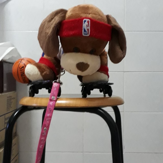 NBA dog with skates and leapfrog letter factory, Hobbies & Toys, Toys ...