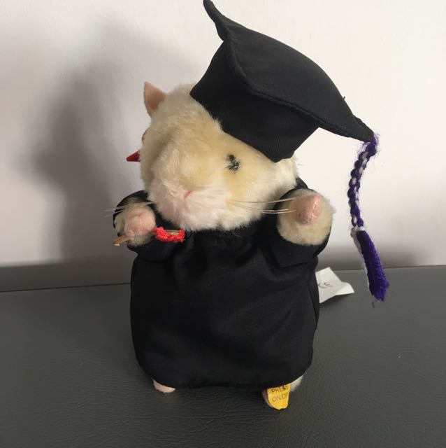 Graduation Hamster, Hobbies & Toys, Toys & Games on Carousell