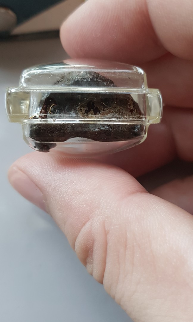 Lp Dam Wat Mai Naparam Phra Pidta 2539, Hobbies & Toys, Memorabilia ...